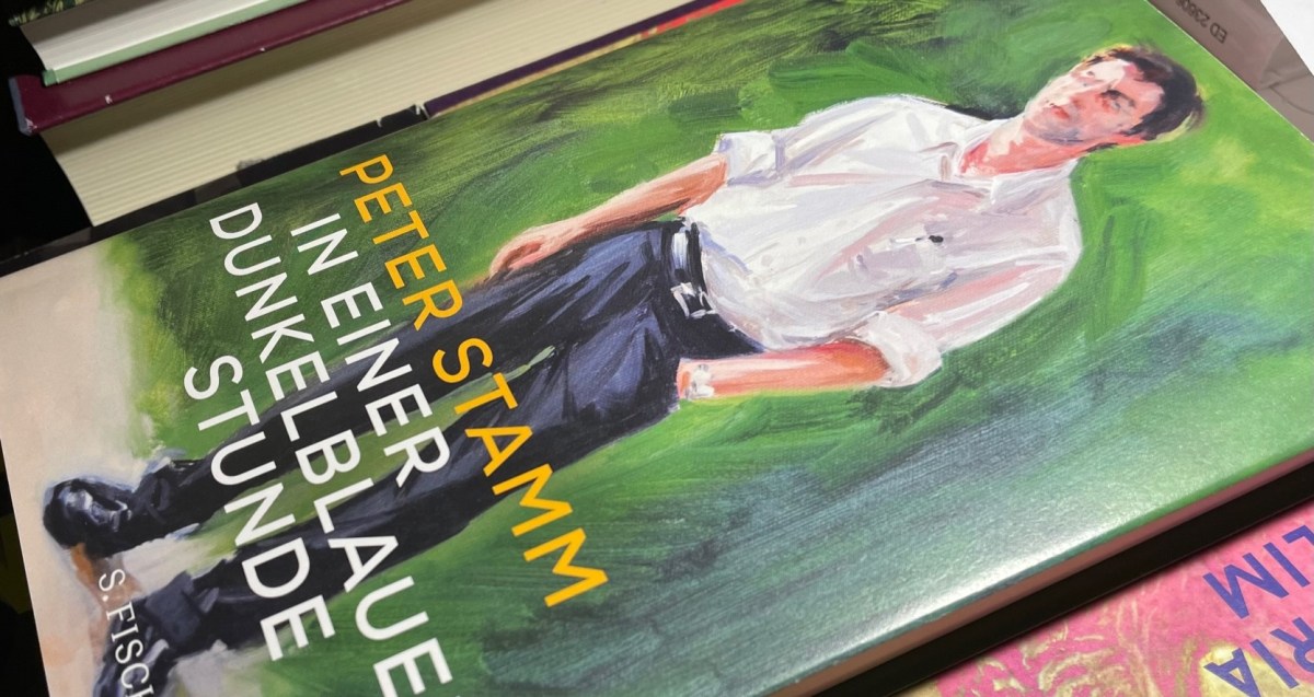„Und morgen bin ich ein anderer“: Peter Stamms Roman „In einer ...