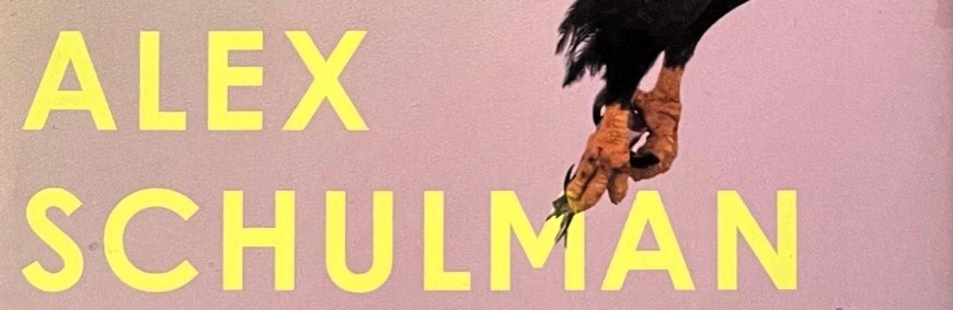 Die Narben aus der Kindheit: Alex Schulmans intensiver Familienroman ...