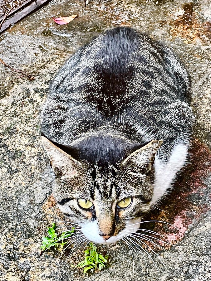 Die Ehe als Häkelarbeit: Anne Tylers Roman „Drei Tage im Juni“ erzählt von alter Liebe und neuen ...